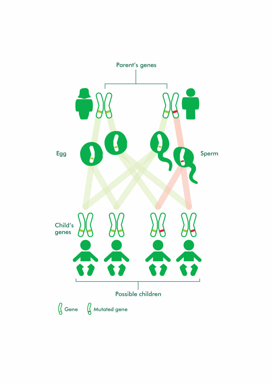 Multiple endocrine neoplasia 1 (MEN1) - Macmillan Cancer Support